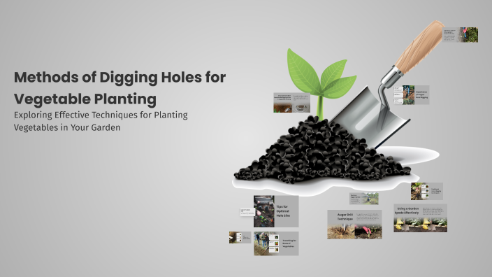 Methods of Digging Holes for Vegetable Planting by Leonora De Guia on Prezi
