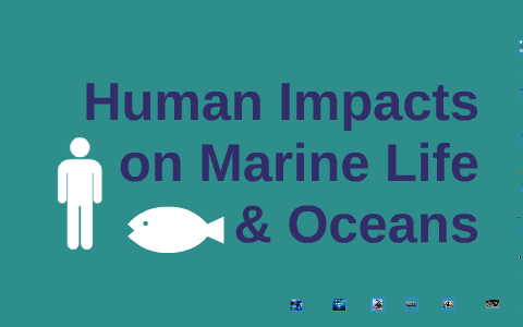 Human Impacts on Marine Life and Oceans by Tara Johnson