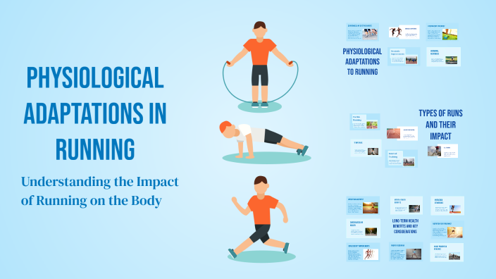 Physiological Adaptations in Running by Anja Hallmanns on Prezi