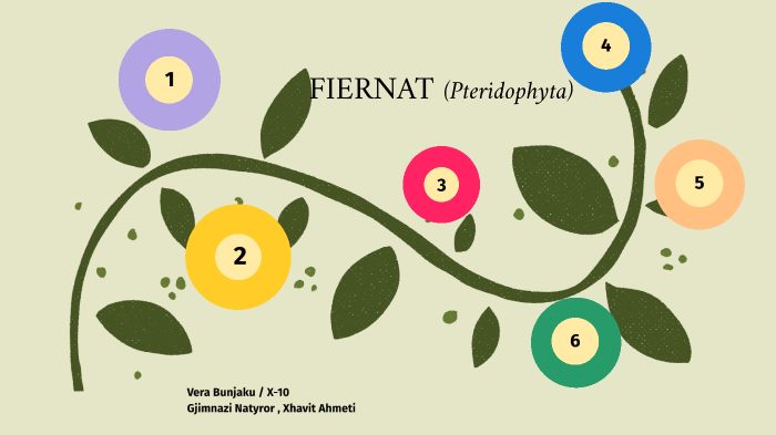 FIERNAT by Sarah Bloom on Prezi