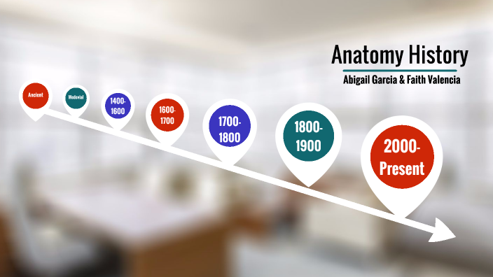 Anatomy History Timeline by Abigail Garcia