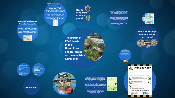 The Impact of PFAS Levels in the Huron River and Its Impact on the Ann ...