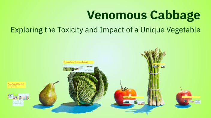 Venomous Cabbage by Anusha M S on Prezi