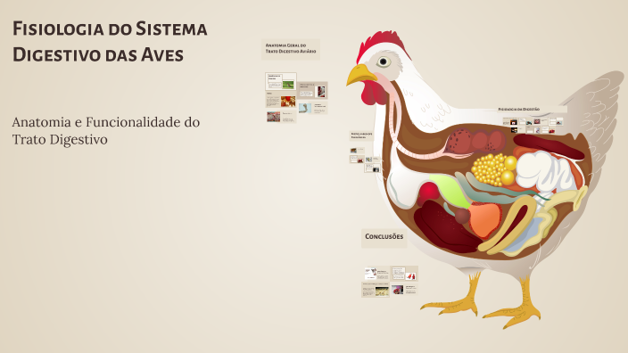 Fisiologia do Sistema Digestivo das Aves by Gustavo Farias on Prezi