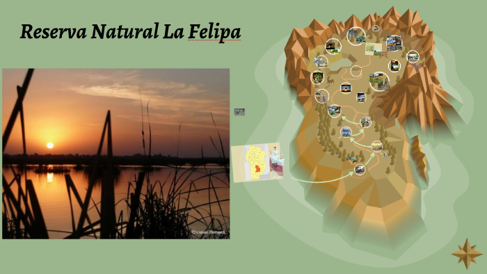 Reserva Natural La Felipa by Hernan Carranza on Prezi