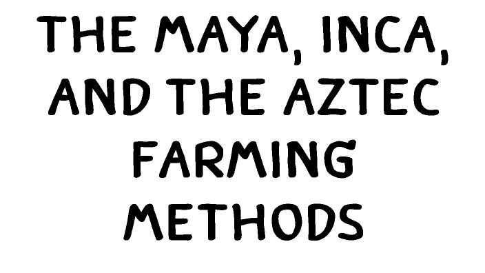 The Maya, Inca, and the Aztec Farming methods by Reuben Harris on Prezi