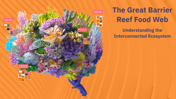 The Great Barrier Reef Food Web by jake castro on Prezi