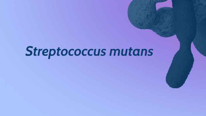 Taxonomy and Morphology of Streptococcus mutans by Charlee Luff on Prezi