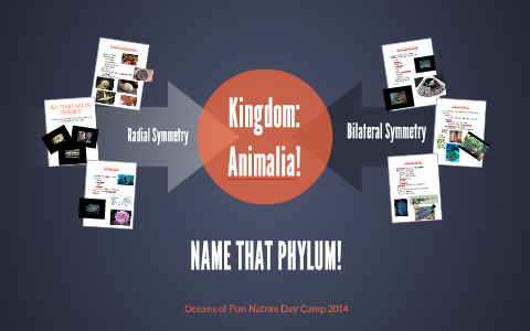NAME THAT PHYLUM! by Michelle Song on Prezi