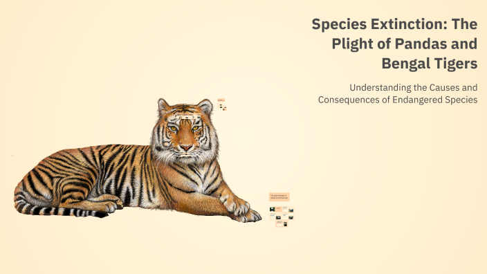 Species Extinction: The Plight of Pandas and Bengal Tigers by Santiago ...