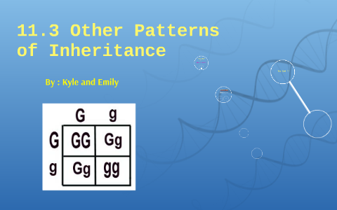 11.3 Other Patterns of Inheritance by Emily Nadel on Prezi
