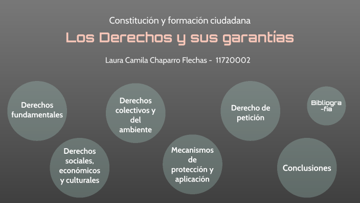 Constitución Y Formación Ciudadana By Laura Camila Chaparro Flechas On