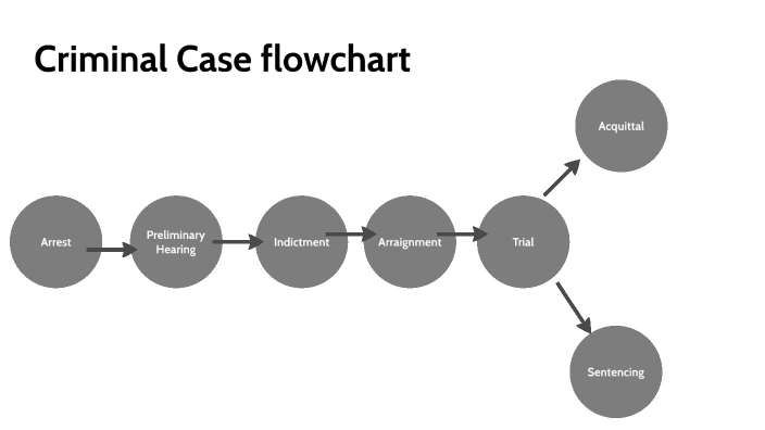 Criminal Case flowchart by Nicole Leardi on Prezi