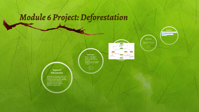 Module 6 Project: Deforestation by taylor shore on Prezi
