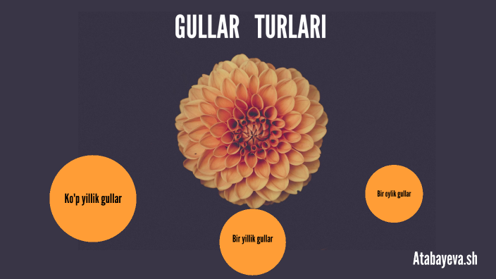 Gullar by shoxsanam Atabayeva on Prezi
