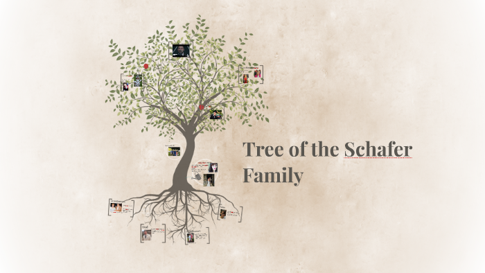 Schafer Family Tree by Victoria Schafer on Prezi