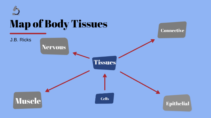 Concept Map Of Body tissues by JB Ricks