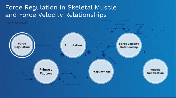 Force Regulation in Skeletal Muscle and Force Velocity Relationships by ...