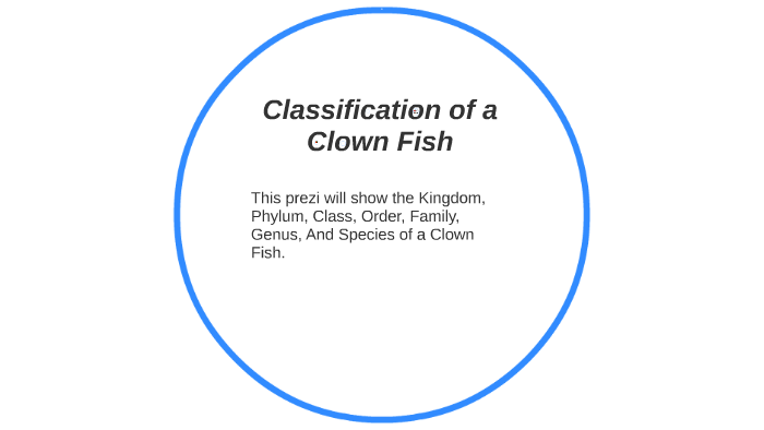 Classification of a Clown Fish by Maximilian Lawrin on Prezi