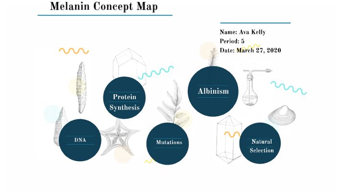 Melanin Concept Map by Ava Kelly on Prezi