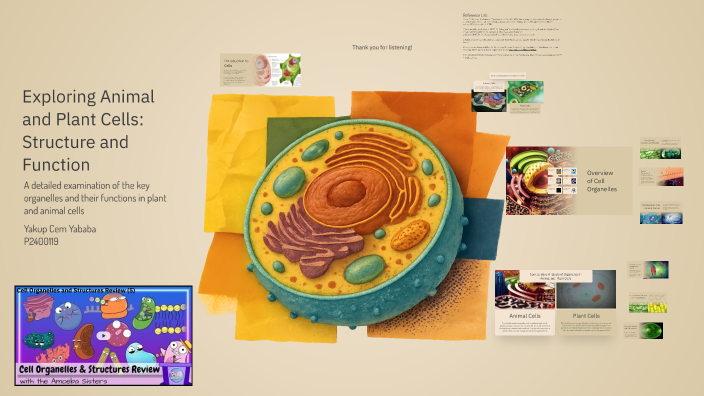 Exploring Animal and Plant Cells: Structure and Function by Yakup ...