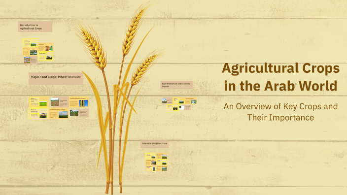 Agricultural Crops in the Arab World by maryam abdo on Prezi
