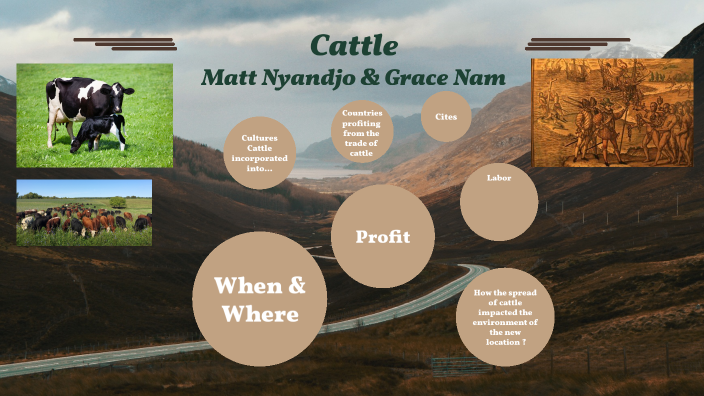 The Columbian Exchange with Cow by Grace Nam on Prezi