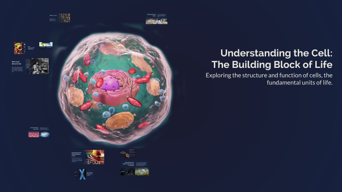 Understanding the Cell: The Building Block of Life by Kelden Kinley ...