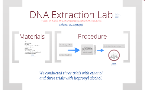 Blueberry DNA Extraction Lab! by Audrey E on Prezi