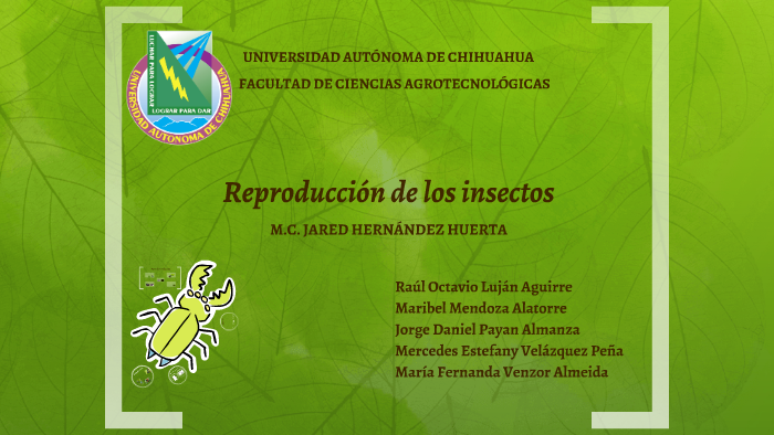Reproducción de los insectos by Mafe Venzor on Prezi