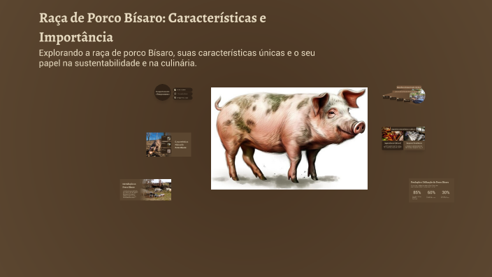 Raça de Porco Bísaro: Características e Importância by Beatriz Silva on ...