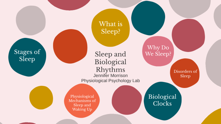 Sleep and Biological Rhythms by jennifer morrison on Prezi