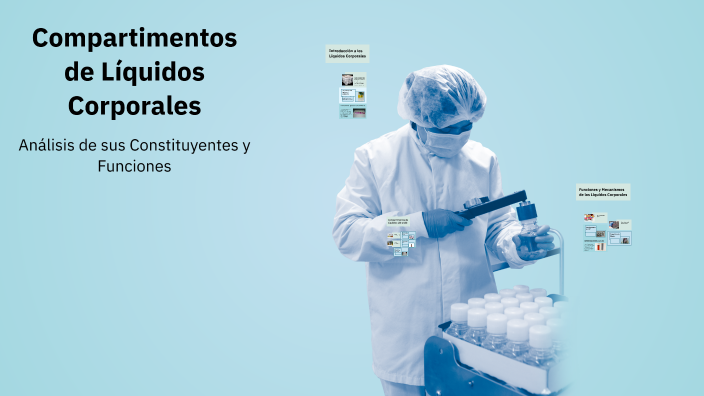 Compartimentos De Líquidos Corporales By Joana Cardoso On Prezi