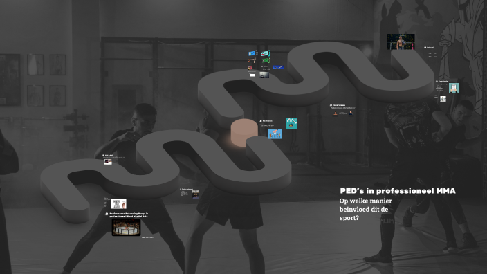 mma ped's by maas van de kerk on Prezi
