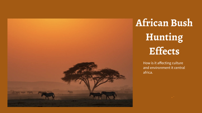 African Bush Hunting Effects by Marha Hekel on Prezi