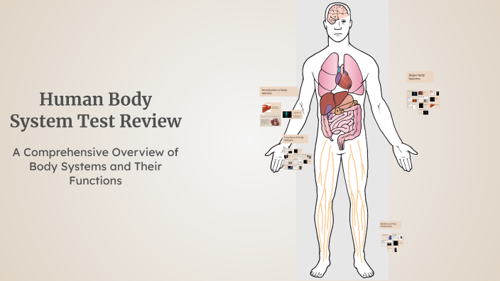 Human Body System Test Review by Sameena Fouzia on Prezi