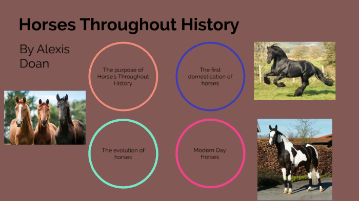 Horses Throughout History by Alexis Doan on Prezi