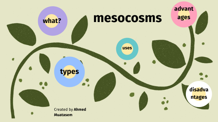 mesocosms by ahmed almashaur on Prezi