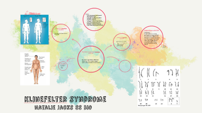 Klinefelter Syndrome ( 47, XXY ) by Natalie Jacks on Prezi