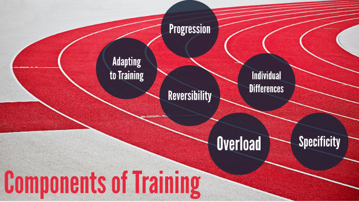 Components of Training by Lauren Coleman on Prezi