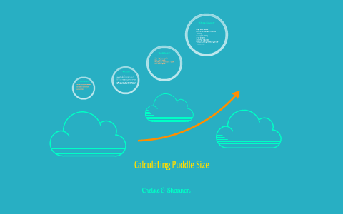 Calculating Puddle Size by Shannon Lyon