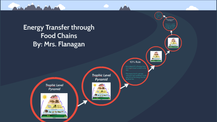 Energy Transfer through Food Chains by Kalie Flanagan on Prezi