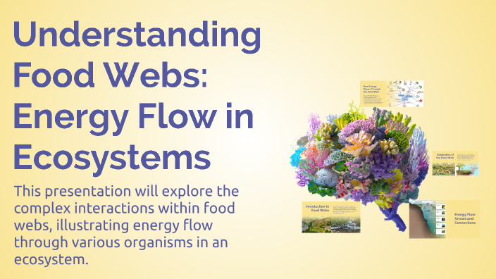 Understanding Food Webs: Energy Flow in Ecosystems by Khlo'e Baldwin on ...