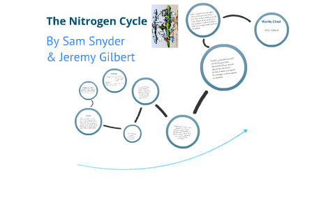APES Nitrogen Cycle by Sam Snyder on Prezi