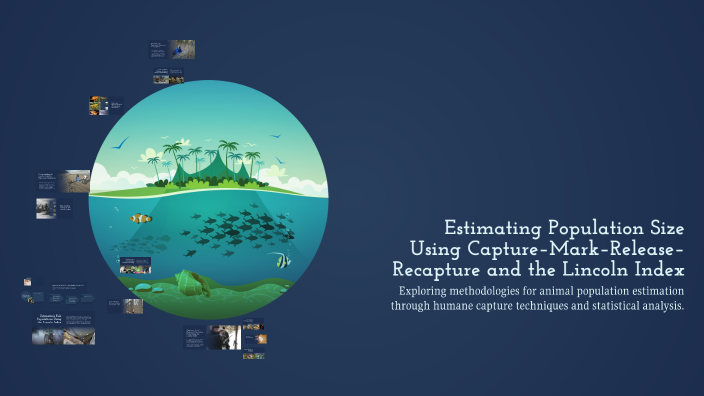 Estimating Population Size Using Capture–Mark–Release–Recapture and the ...