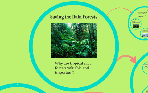 SAVING THE RAIN FORESTS by Toni González
