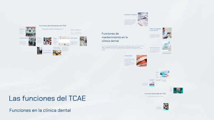 Las funciones del TCAE by Laura Iuliana Miron on Prezi
