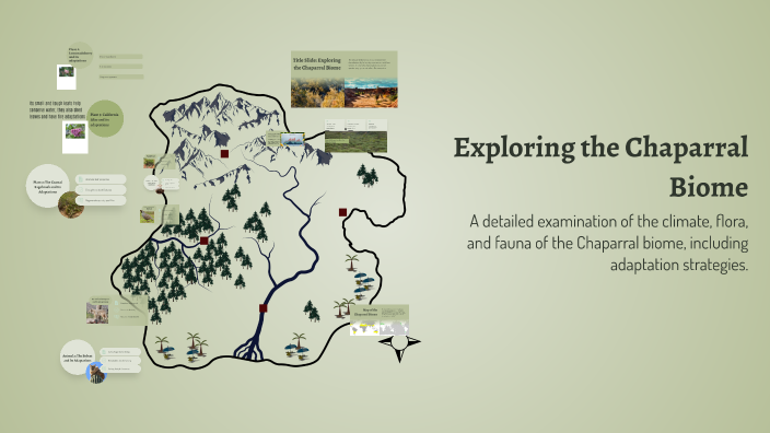 Exploring the Chaparral Biome by danisha palmero on Prezi