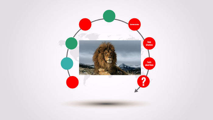 All about lions by Reece Radach on Prezi