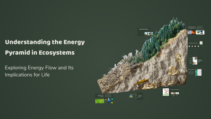 Understanding the Energy Pyramid in Ecosystems by Olivia Myrick on Prezi
